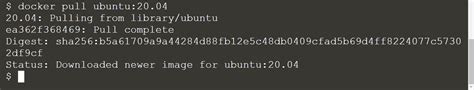 Top Docker Commands With Examples InterviewBit