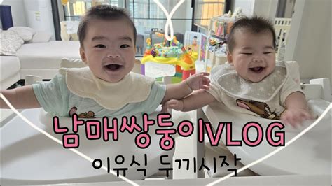 이유식두끼시작이유식두끼스케줄6개월쌍둥이육아 Youtube