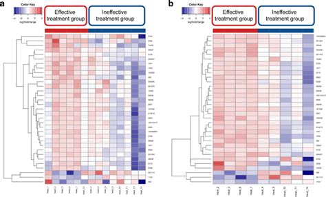The Expression Patterns Of Upregulated Genes And Downregulated Genes