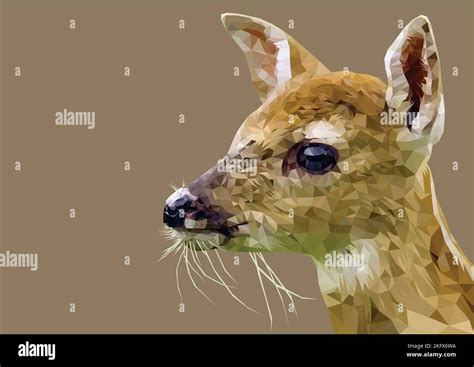 Deer Low Poly Vector Art Stock Vector Image And Art Alamy