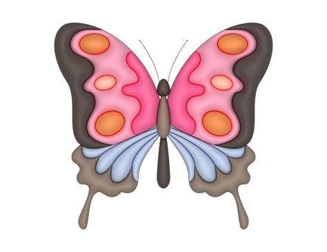 Fases Da Borboleta Desenho Magedu