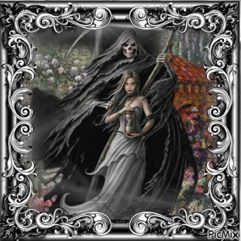 Profile Chamuka Everskies