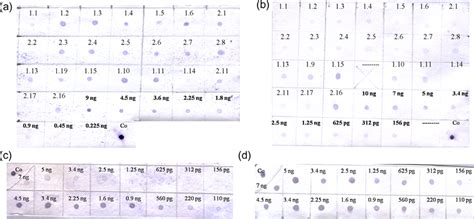 A Examples Of Filter Hybridizations Of Representational Difference Download Scientific