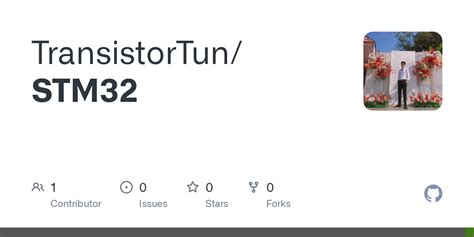 GitHub TransistorTun STM