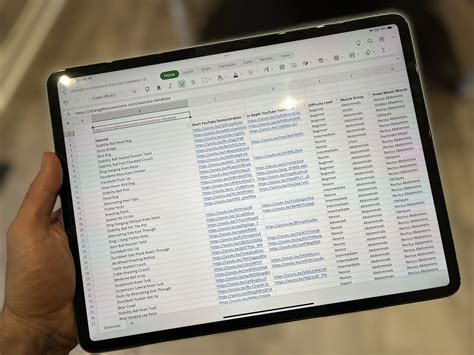 Functional Fitness Exercise Database Microsoft Excel And Google Sheets Strength To Overcome