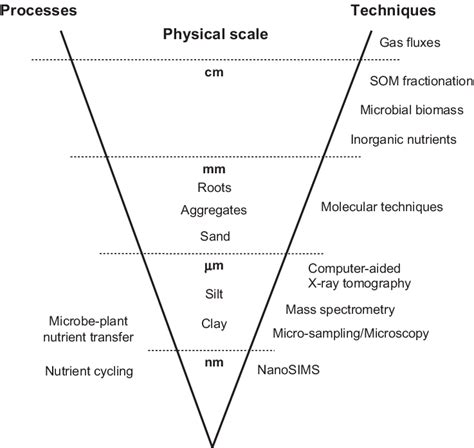 Biochemical Processes Versus Techniques At Different Physical Scales Download Scientific Diagram
