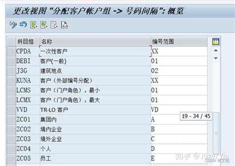 Sap S4 Hana Bp配置 知乎