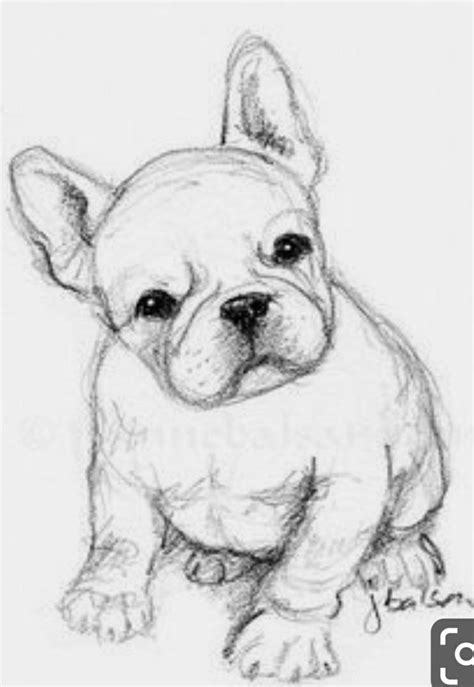 Рисунок собачки карандашом 79 фото