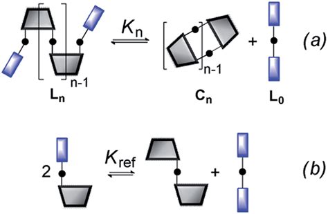 Schematic Representation Of The Equilibria Used To Determine Em A Download Scientific
