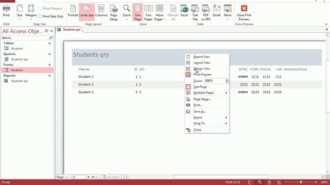 What Is A Report Access At Terry Akers Blog