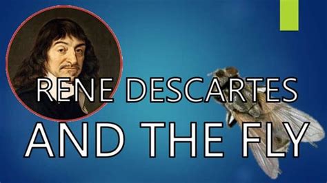 Teacher 1 Demonstration Cartesian Plane 8 Docx