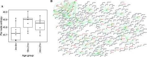 Network Entropy Based Analysis Of Liver Ageing Network A Boxplot Download Scientific Diagram