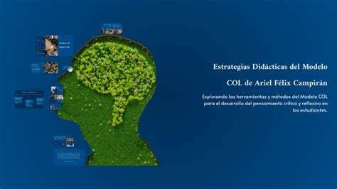 Estrategias Didácticas Del Modelo Col De Ariel Félix Campirán By Bruno