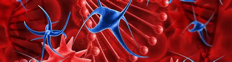 Lymphangitis Causes Symptoms Diagnosis And Treatment