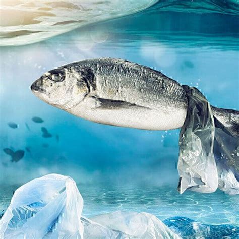 Microplastic Determination Through Selective Microwave Sample