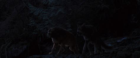 Brady Fuller Twilight Saga Wiki Fandom Powered By Wikia