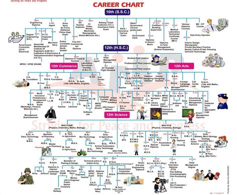What To Do After 10th Best Career Options After Class Vrogue Co
