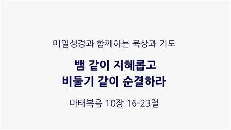 뱀 같이 지혜롭고 비둘기 같이 순결하라 23 02 11 매일성경 마태복음 10장 16 23절 Youtube