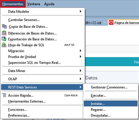 cómo instalar oracle sql developer web