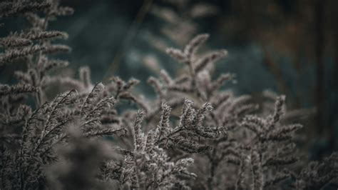 Hocus Pocus Background Photos Download The Best Free Hocus Pocus