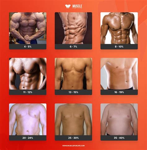 Male Body Fat Percentage
