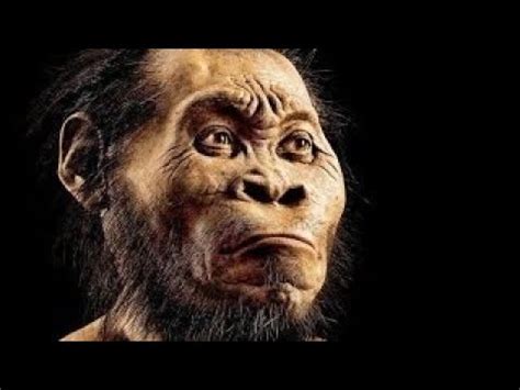 Life Of First Humans On Planet Earth New Pbs A Documentary 2017 Youtube