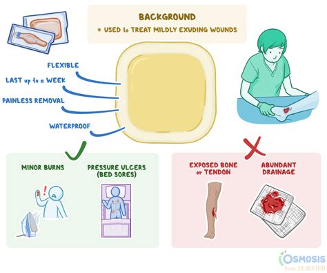Hydrocolloid Dressing Examples For Effective Wound Care