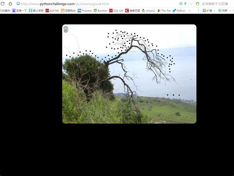 Python Challenge通关代码及攻略（9 16）pythonchallenge代码 Csdn博客