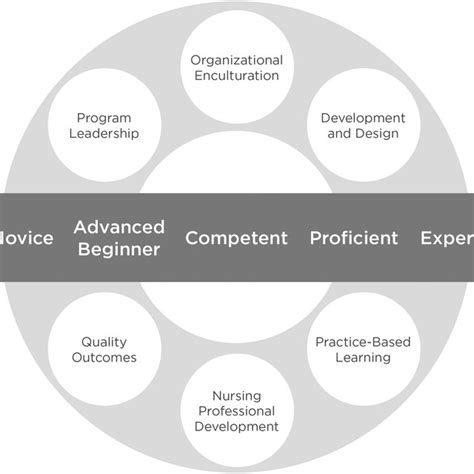 PDF Helping Babes Identify A Healthy Transition To Practice Work Environment
