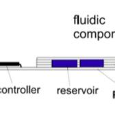 PSoC BLE Architecture Download Scientific Diagram