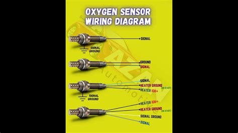 Oxygen Sensor Pinout Youtube