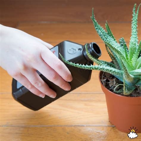 წყალბადის ზეჟანგი ჩემი საუკეთესო დამხმარეა რომლითაც არაერთ პრობლემას ვუმკლავდები