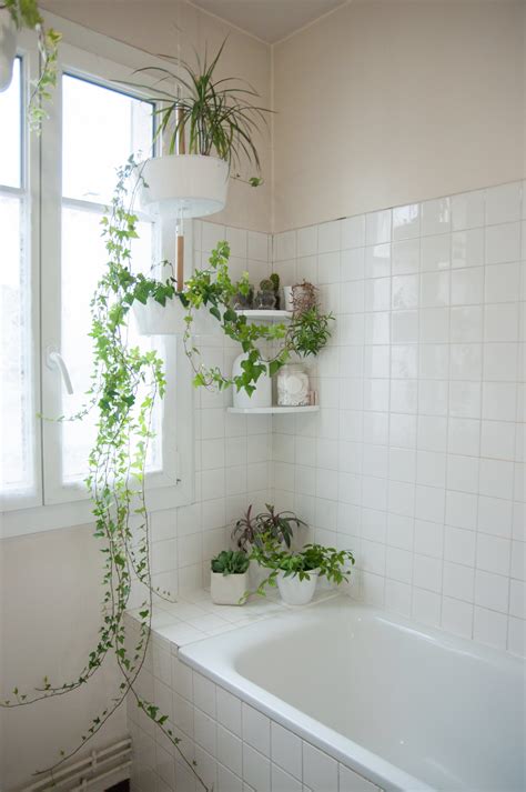 A Peaceful And Serene Bathroom Beautiful Bathrooms Bathroom Plants