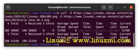 如何使用命令行在Ubuntu Linux上下载文件 Linux迷