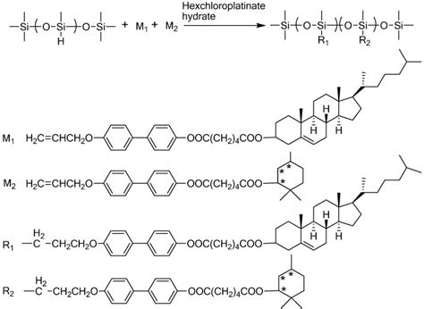 Polymers Comprising Cholesterol Synthesis Self Assembly And