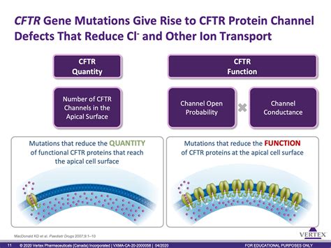 Cftr Science Disease Information