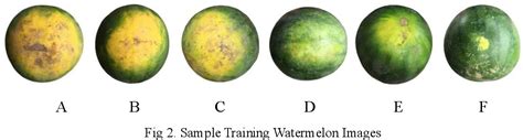 Figure 2 From Classification Of Watermelon Ripeness Levels Using Hsv Color Space Transformation