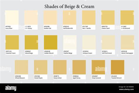 Color Palettes 20 Shades Of Beige And Cream Ivory Sand And Vanilla