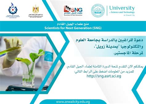 hassan gamal posted on linkedin