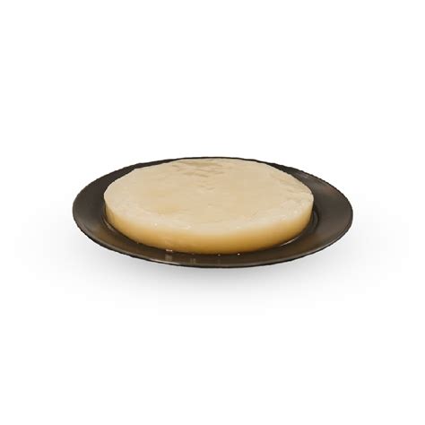Scoby Til Kombuchabrygning Vakka