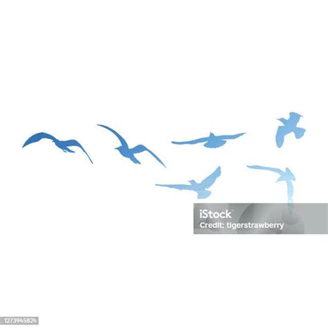 흰색 배경에 비행 조류 갈매기의 수채화 실루엣 바다 새의 영감 몸 플래시 문신 잉크 벡터 개체 그룹에 대한 스톡 벡터 아트 및 기타 이미지 Istock