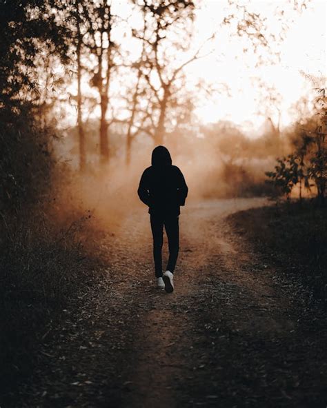 가을 걷고 있는 나무 농촌의 도로 뒷모습 떨어진 나뭇잎 박무 사람 새벽 수직 쐈어 아침 안개 후드 재킷에 관한 무료 스톡 사진