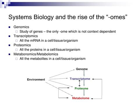Ppt What Is Metabolomics Metabonomics Powerpoint Presentation Free Download Id 1303410