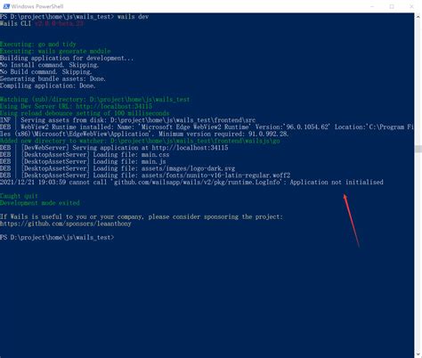 V2 Application Not Initialised · Issue 1032 · Wailsappwails · Github