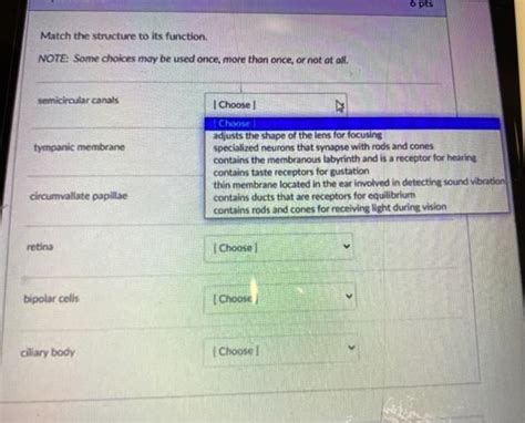 Solved 6 Pts Match The Structure To Its Function NOTE Some Chegg Com
