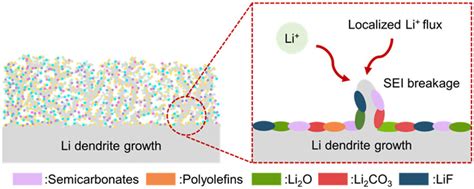 Schematic Illustration Of A Li Dendrite With Various Sei Components Download Scientific