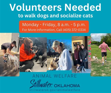 Animal Welfare Stillwater Ok