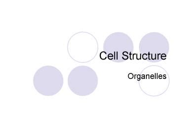 PPT Cell Structure PowerPoint Presentation Free To Download Id Aecd YTE M
