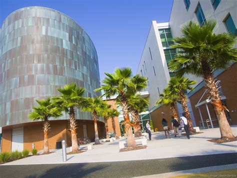 Usf Campus Tampa