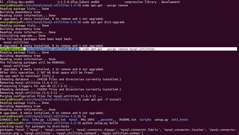 Apt The Following Packages Have Been Kept Back Why And How Do I